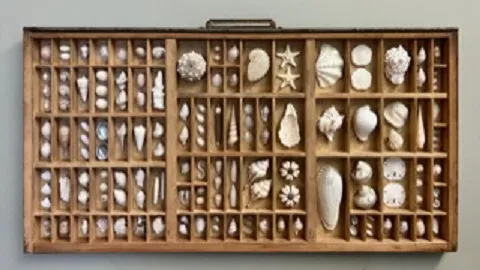 Customer Shell Art 2022