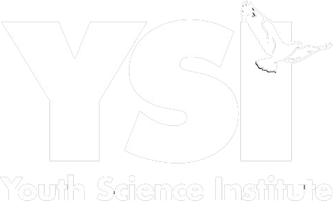 Summer Science Camps Los Gatos | Youth Science Institute