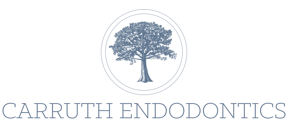 Carruth Endodontics