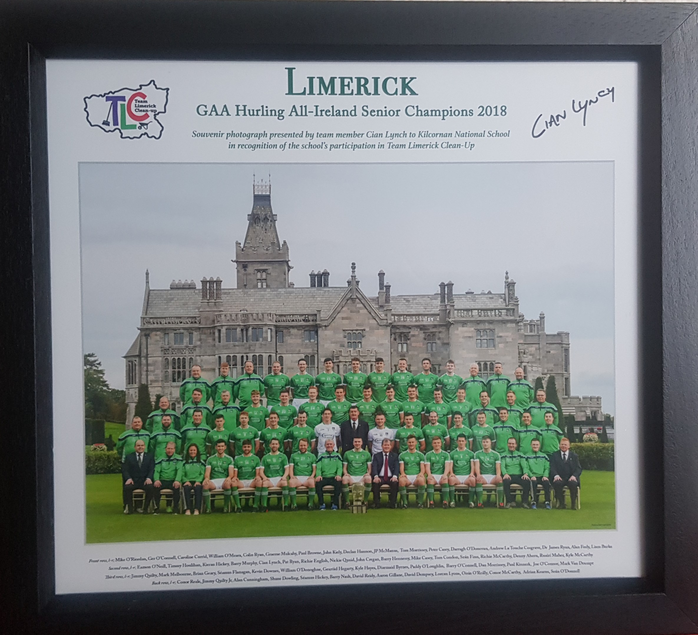 Limerick Gaelic Football Team