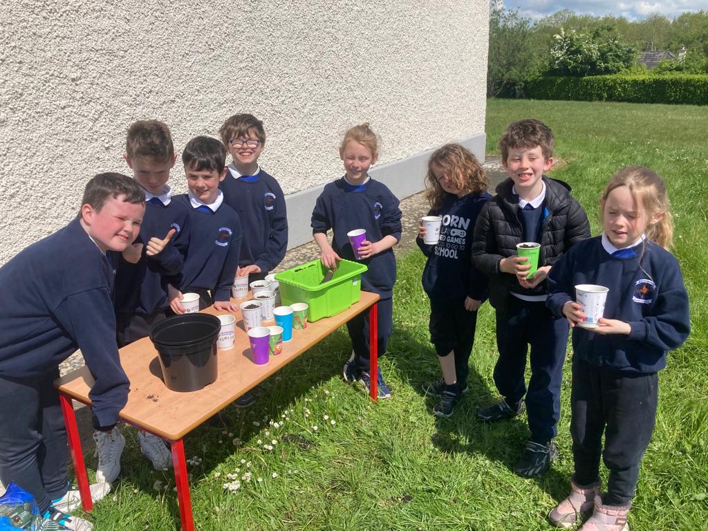 Green Flag / News / Kilcornan National School