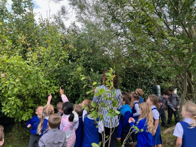 Climate Action Week 2023 / Kilcornan National School