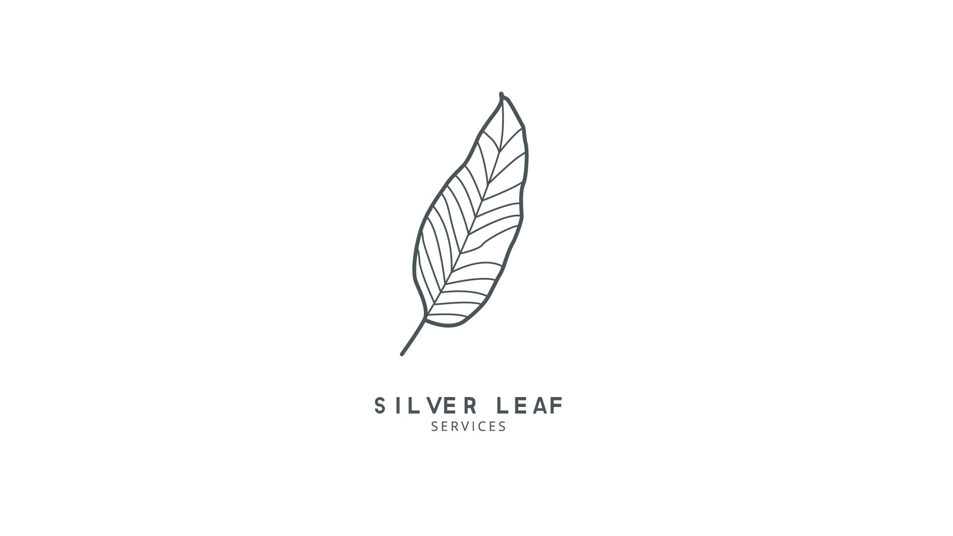 Silver Leaf Services Logo - Logo Design and Branding | Wakeford Digital