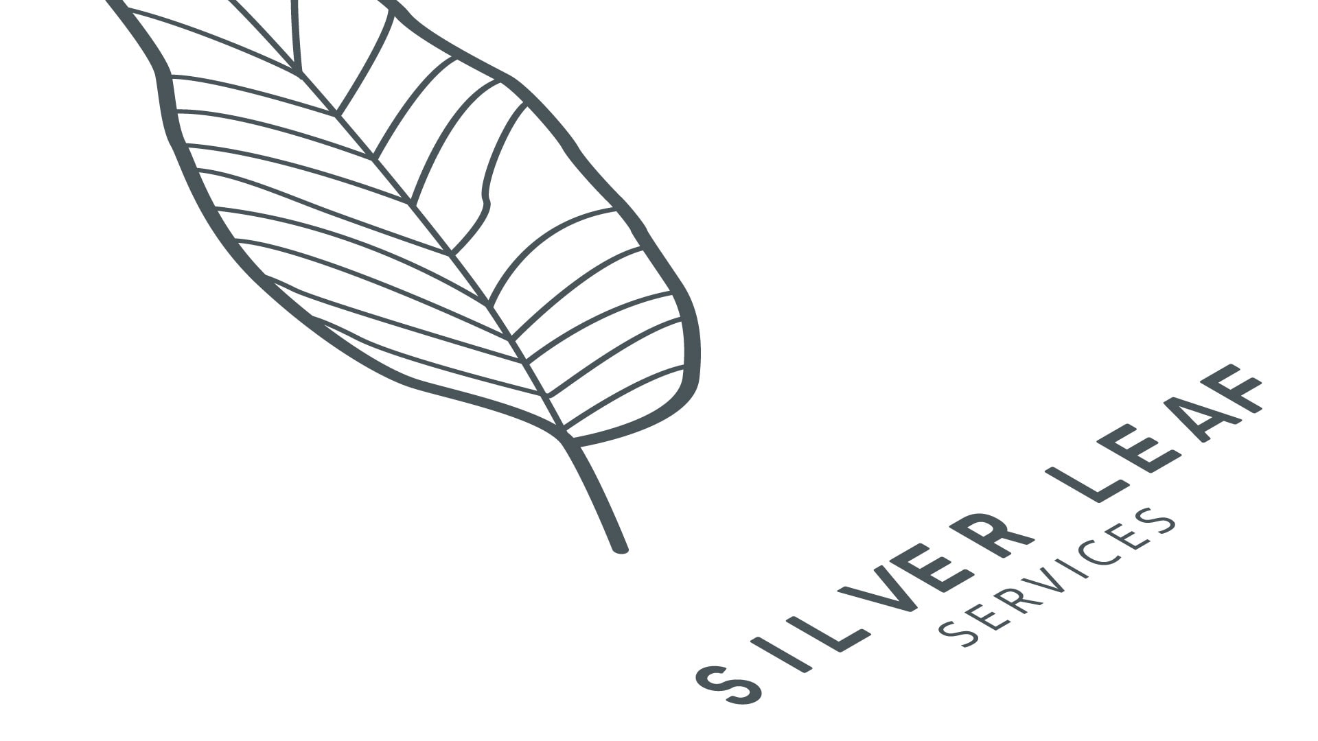 Silver Leaf Services Logo - Logo Design and Branding | Wakeford Digital