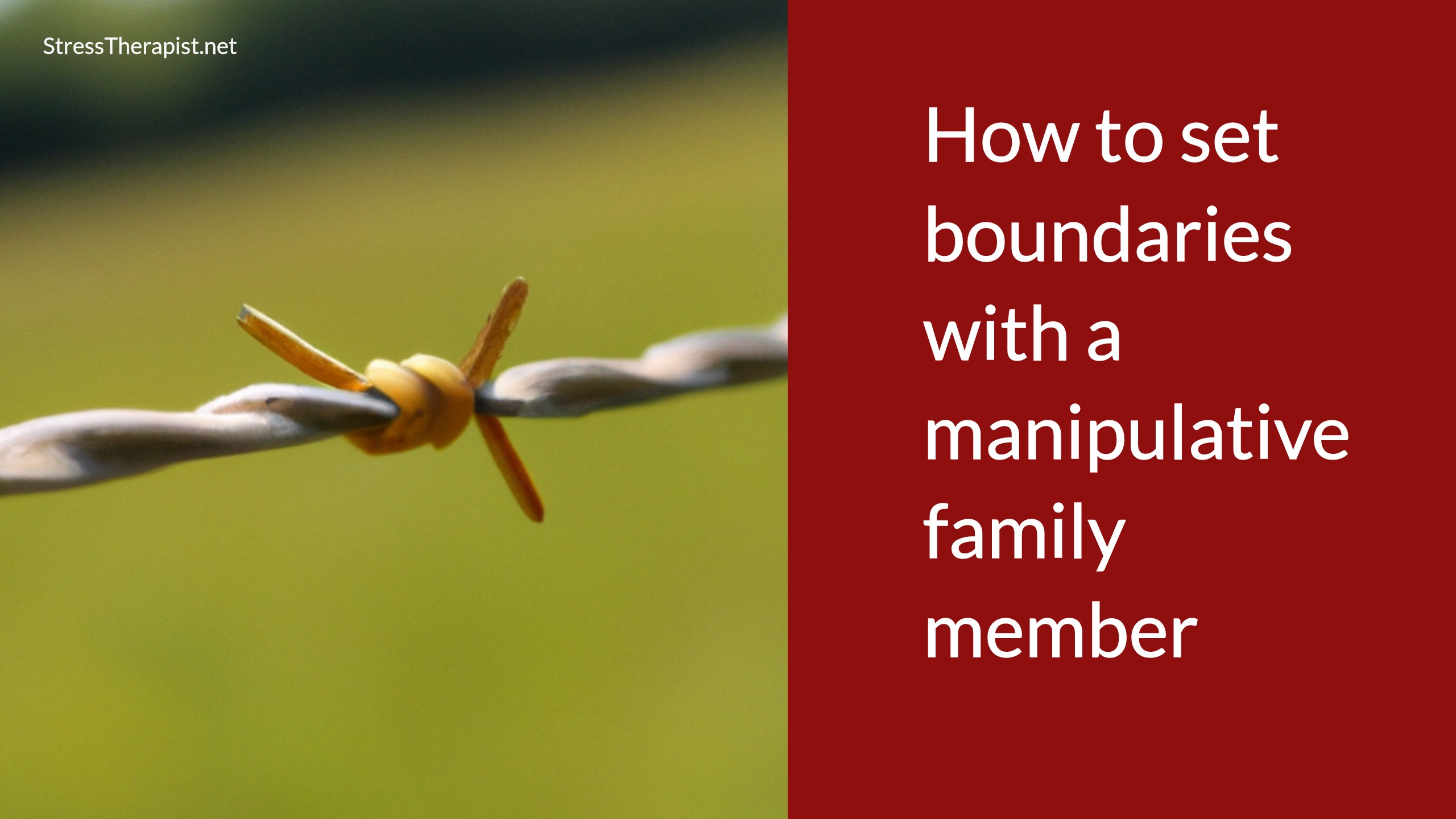 How to Set Boundaries with a Manipulative Family Member