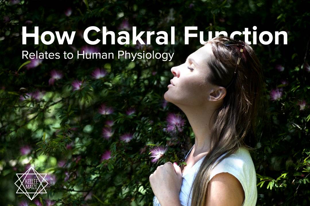 Chakra Anatomy: How Chakral Function Relates to Human Physiology