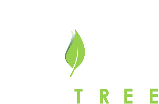 Explore our commitment to sustainability | The Box Factory