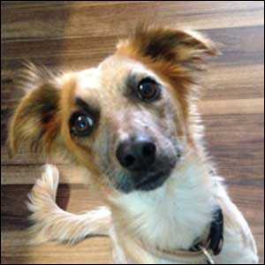 M100 Design - 6 Hinweise für gutes Design