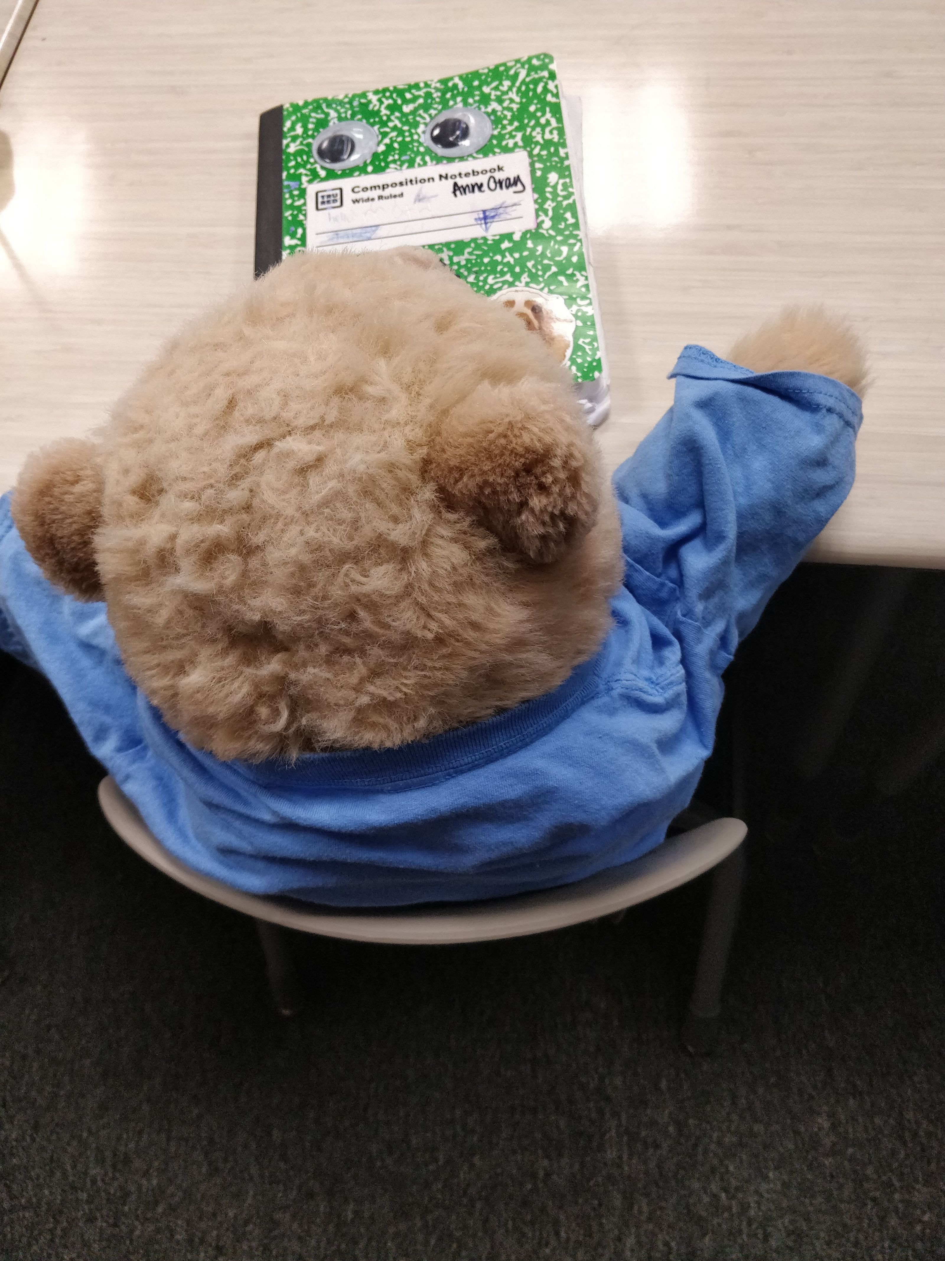 Stuffed Animal in Class | Reward Idea