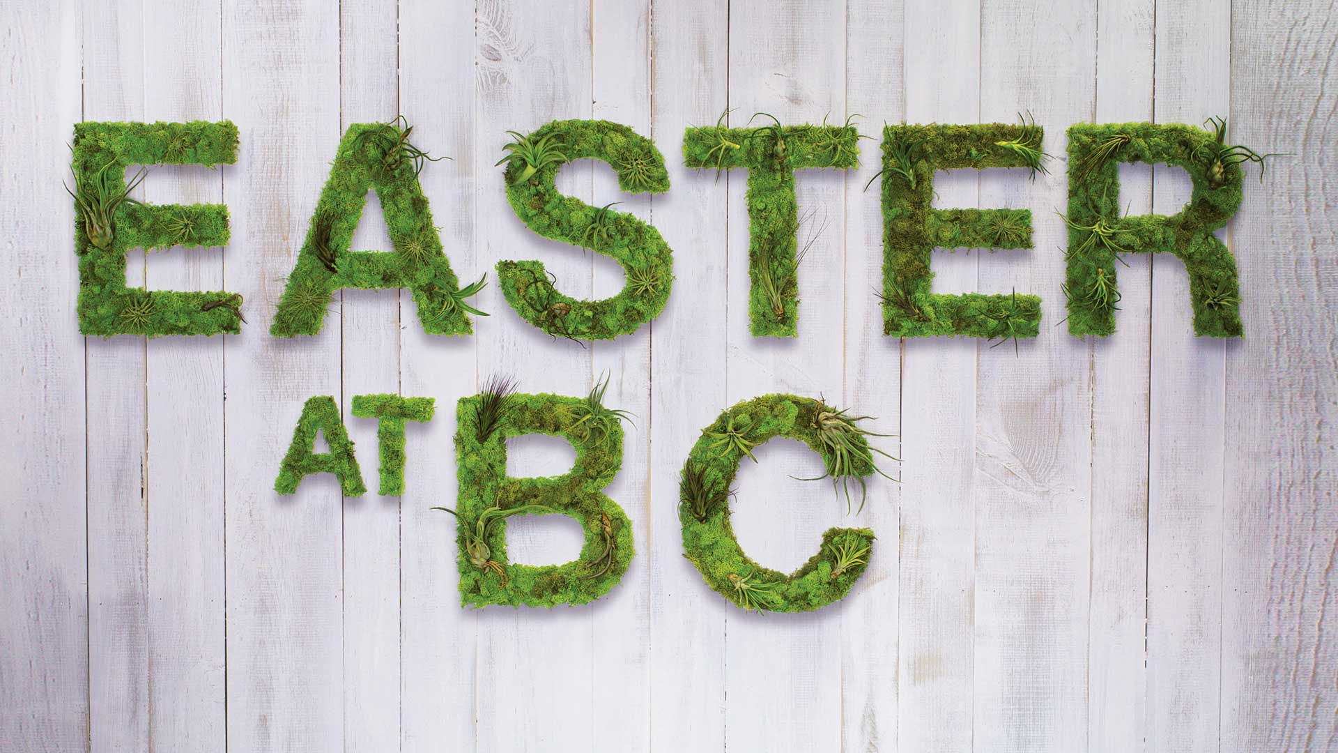 Easter at BC – Easter at BC