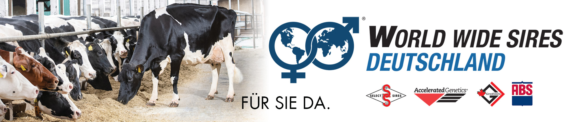 Über Uns