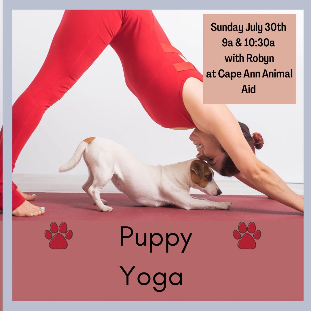 Puppy Yoga