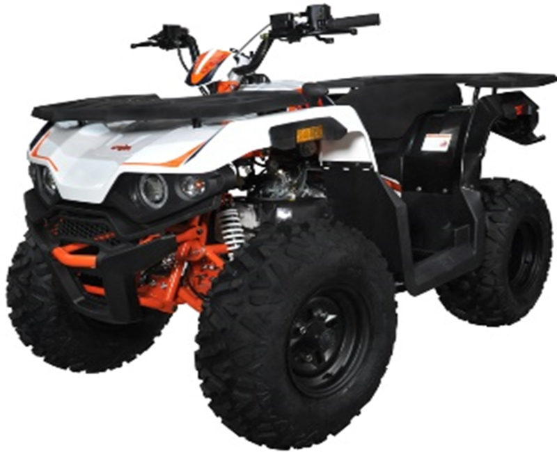 Primrose Motorcycles | KAYO AU180