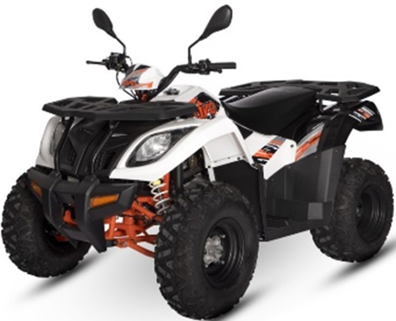 Primrose Motorcycles | KAYO AU300