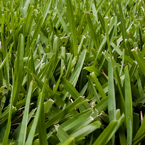 Joe Miller's Mulch, Stone & Dirt, Mulch and all your landscaping supplies.