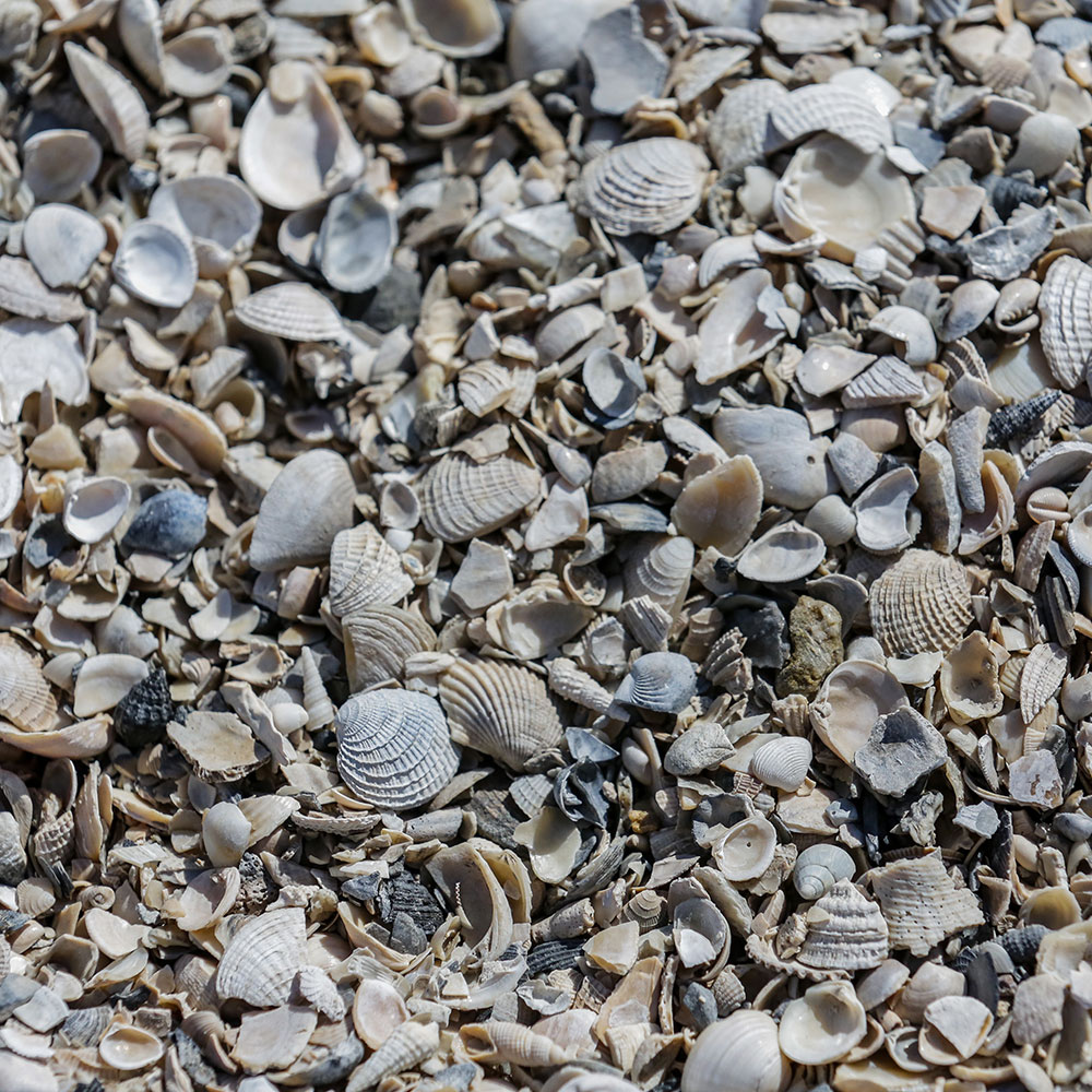 Joe Miller's Mulch, Stone & Dirt, Mulch and all your landscaping supplies.