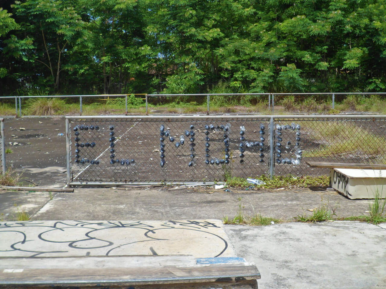 El rompecabezas del Moho Park