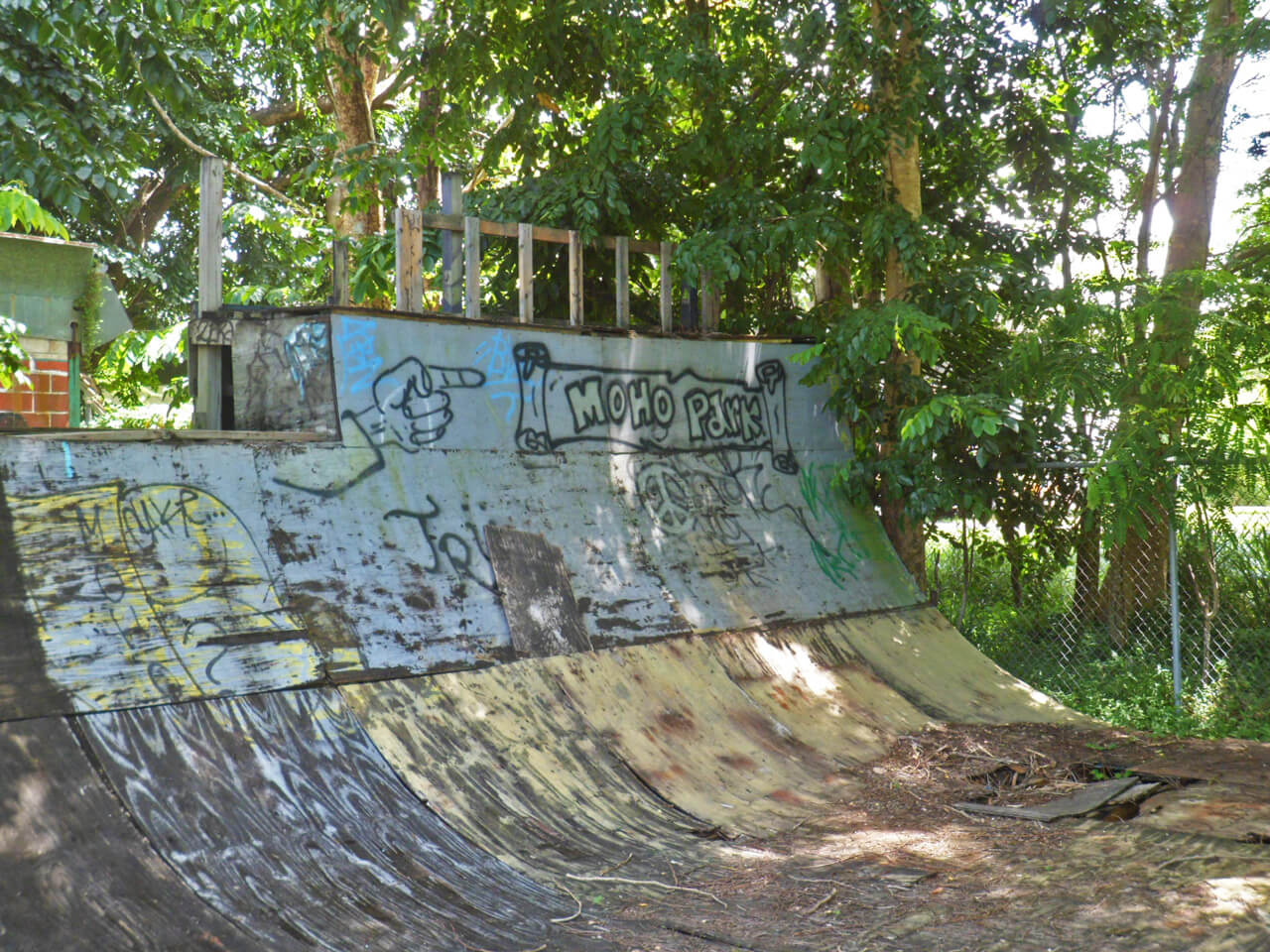 El rompecabezas del Moho Park