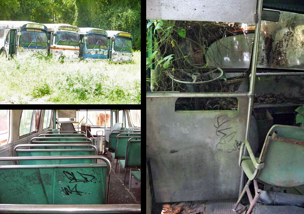 Recuerdos de la vieja AMA