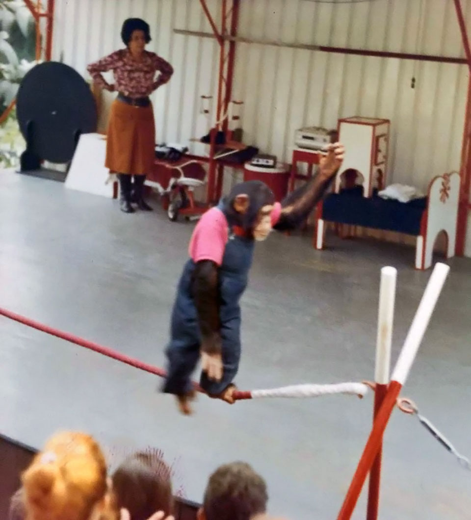 Recordando El Monoloro