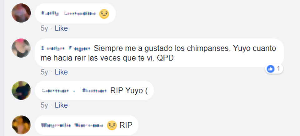 Recordando El Monoloro