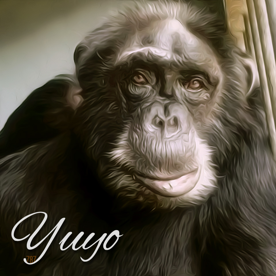 Recordando El Monoloro