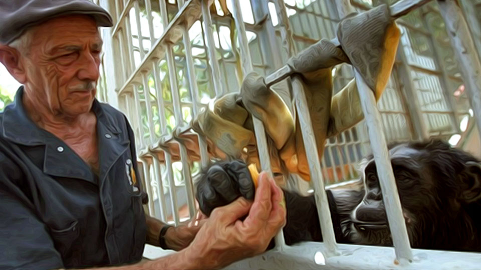 Recordando El Monoloro