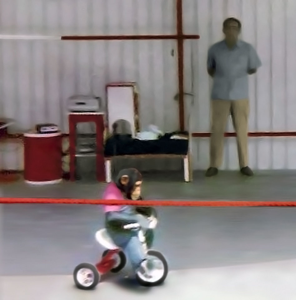 Recordando El Monoloro