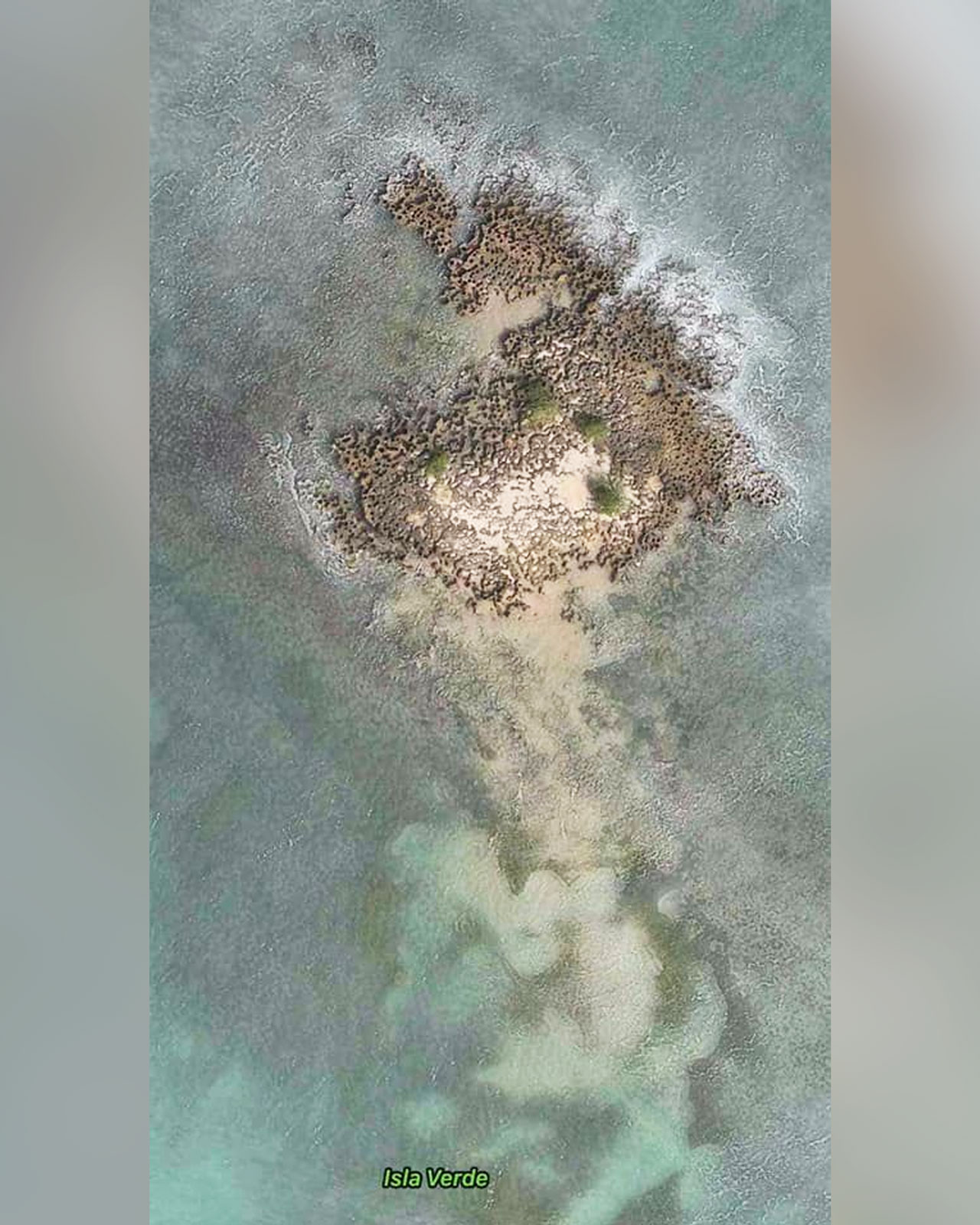 La Isla Verde de Puerto Rico