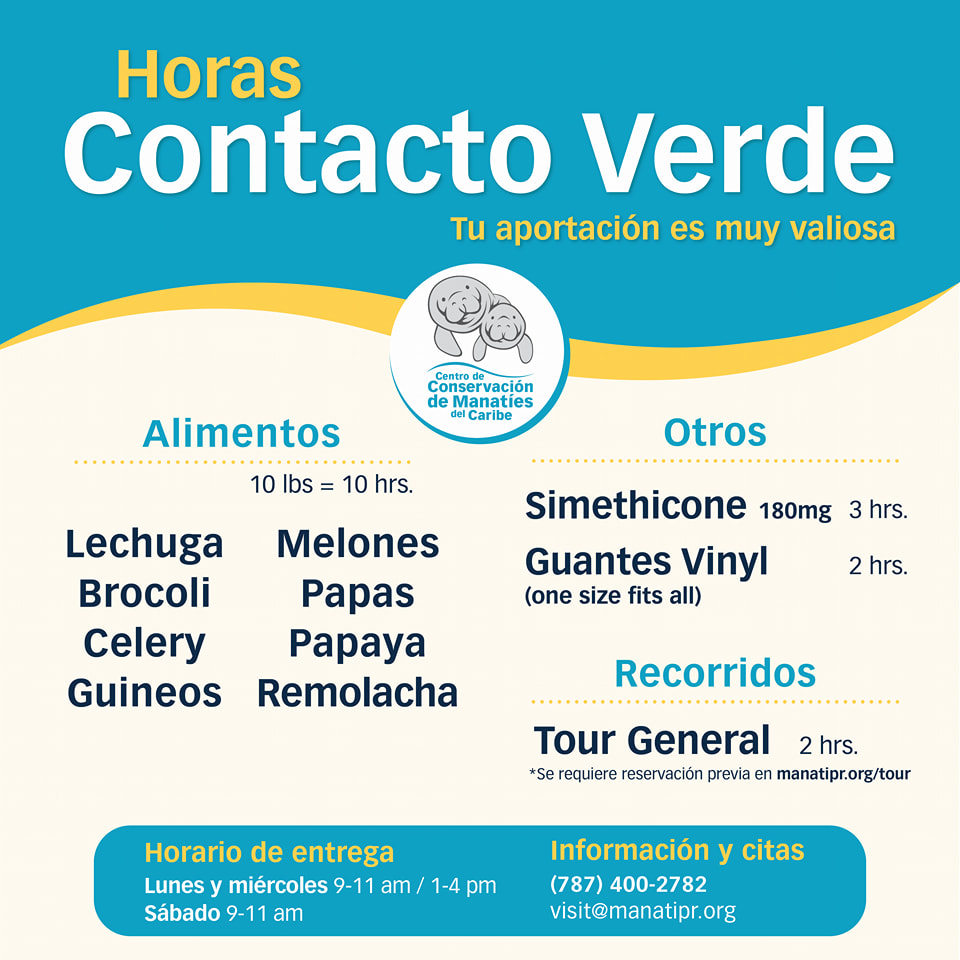 Horas de contacto verde y trabajos comunitarios