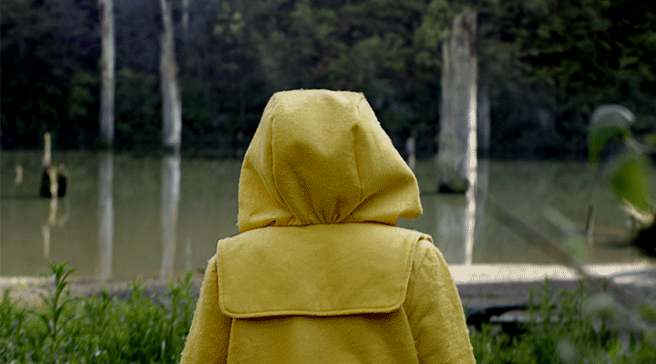 Quiet Giant - Yellow Jacket