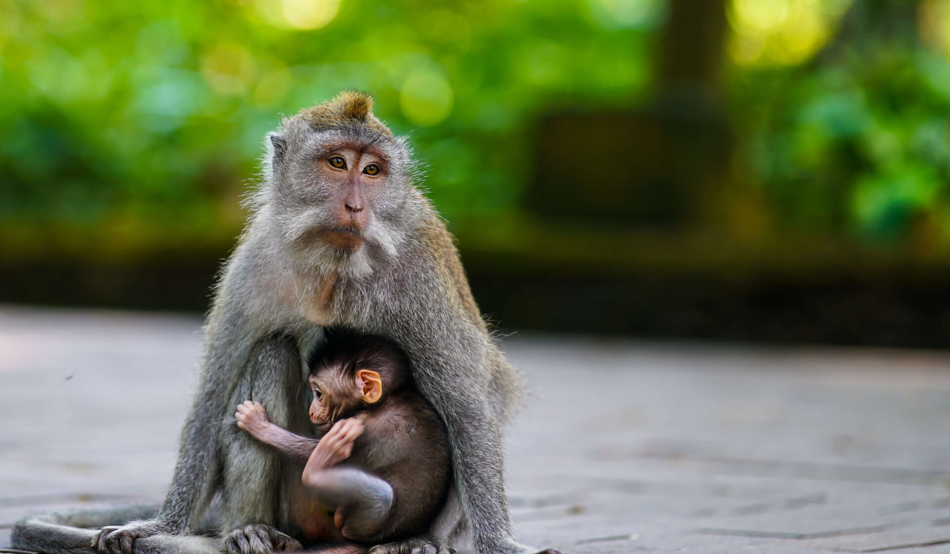 7 Things to Do in Bali (That You Cannot Miss)