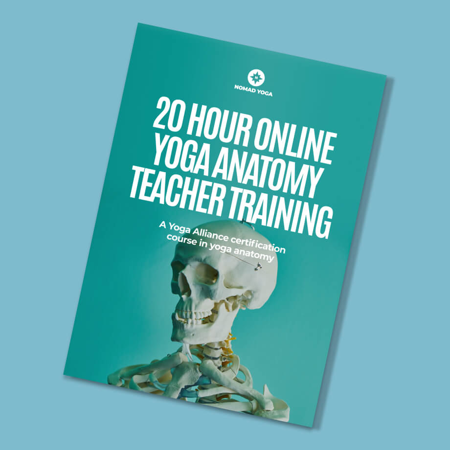 20 Hour Online Yoga Anatomy Teacher Training
