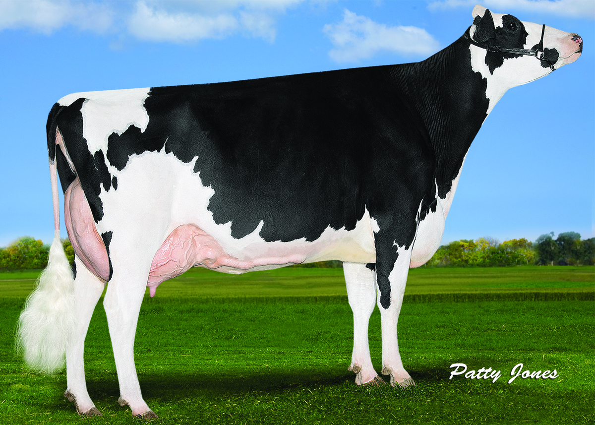 Bulle der Woche: Brewmaster – World Wide Sires Deutschland