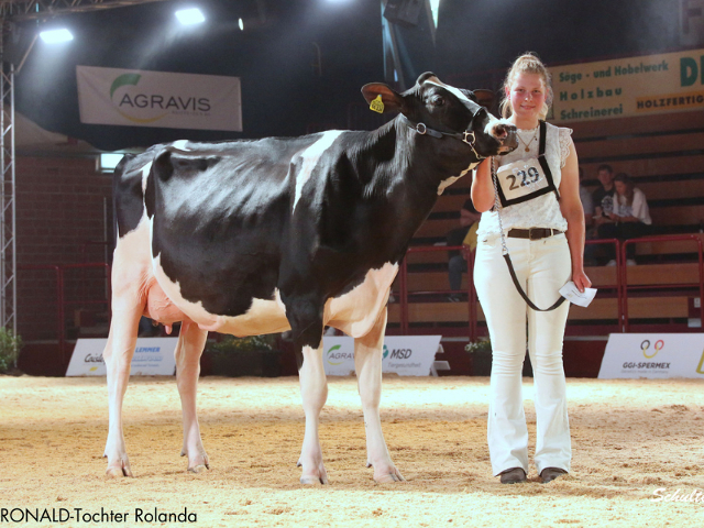 Rückblick German Dairy Show – World Wide Sires Deutschland