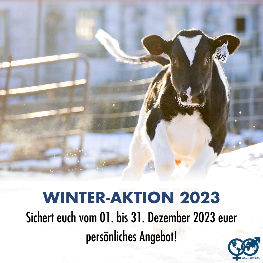 Winter-Aktion 2023 – World Wide Sires Deutschland