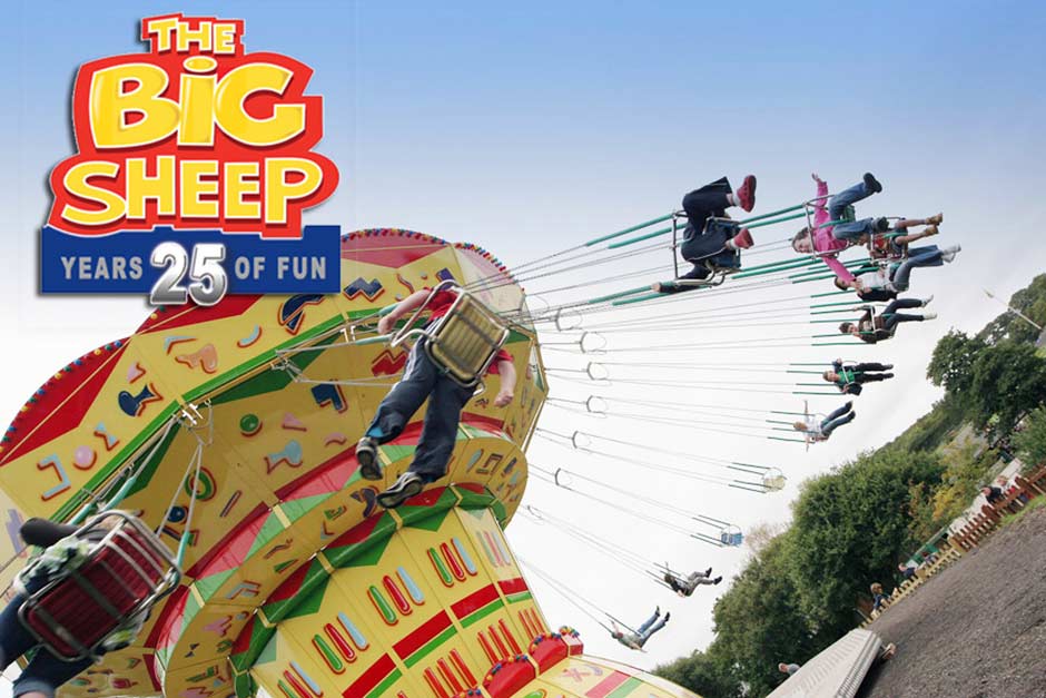Children's Attractions | Exmoor Zoo | Big Sheep | Combrew Farm