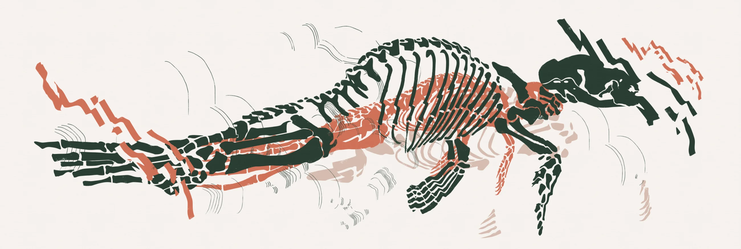 Ylin–Ylan X — Pierrick Calvez