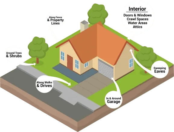 Pest Control - Post Falls, Coeur d'Alene, Spokane