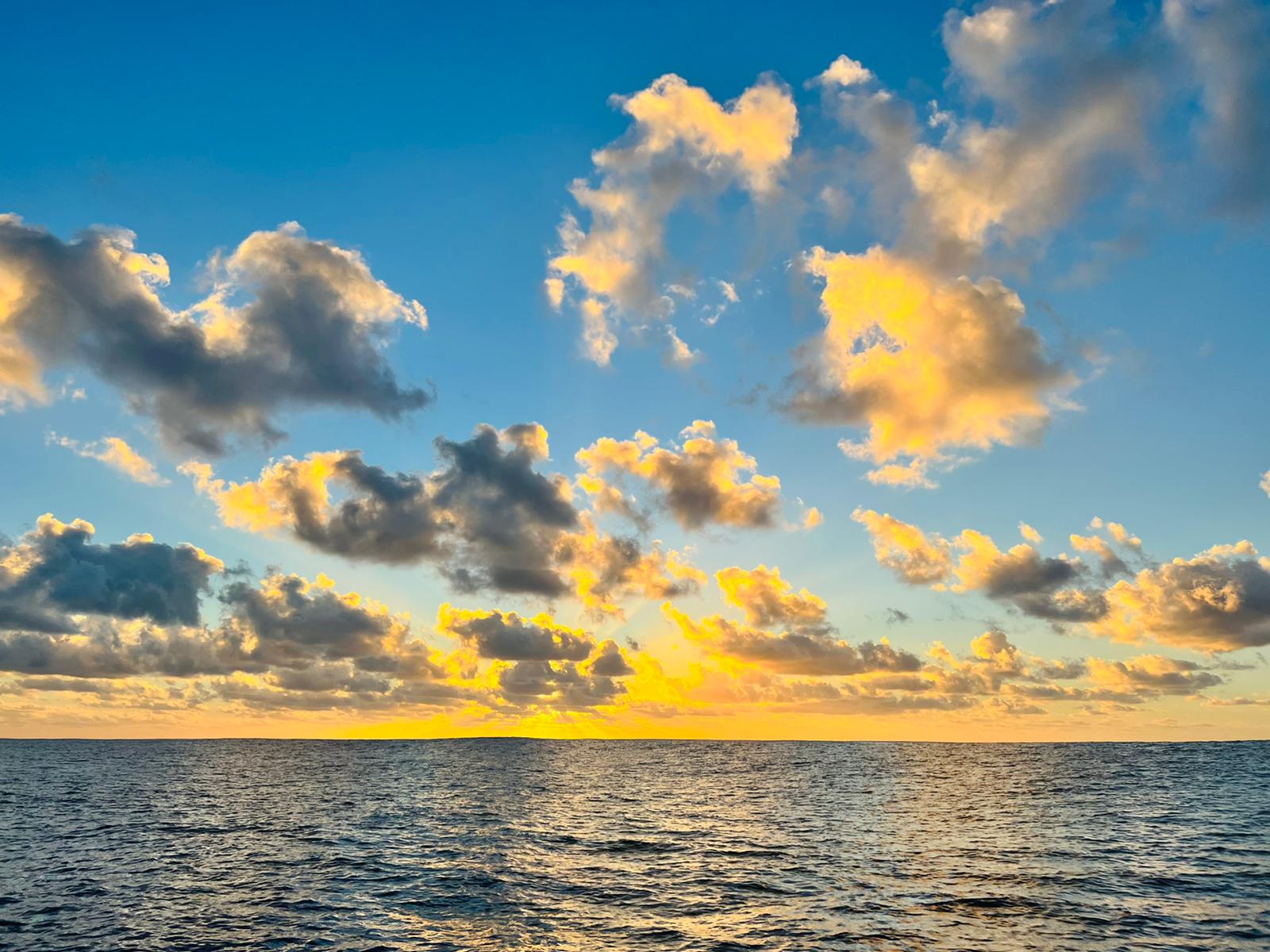 Roxy - Rowing Expeditions by Rannoch Adventure