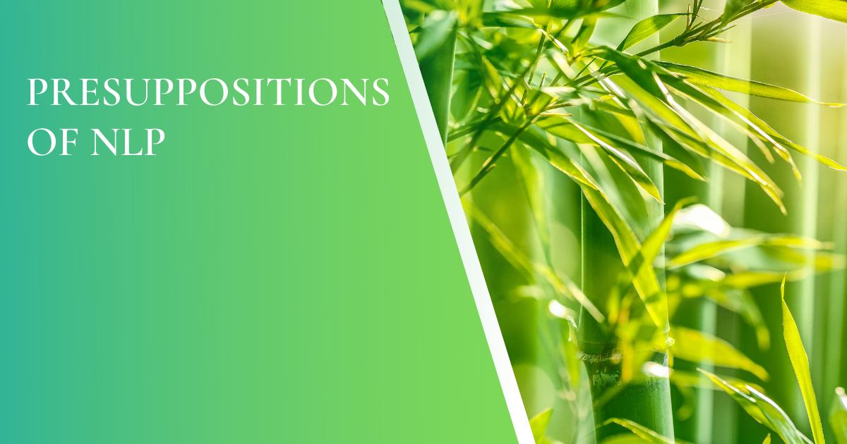 PRESUPPOSITIONS OF NLP