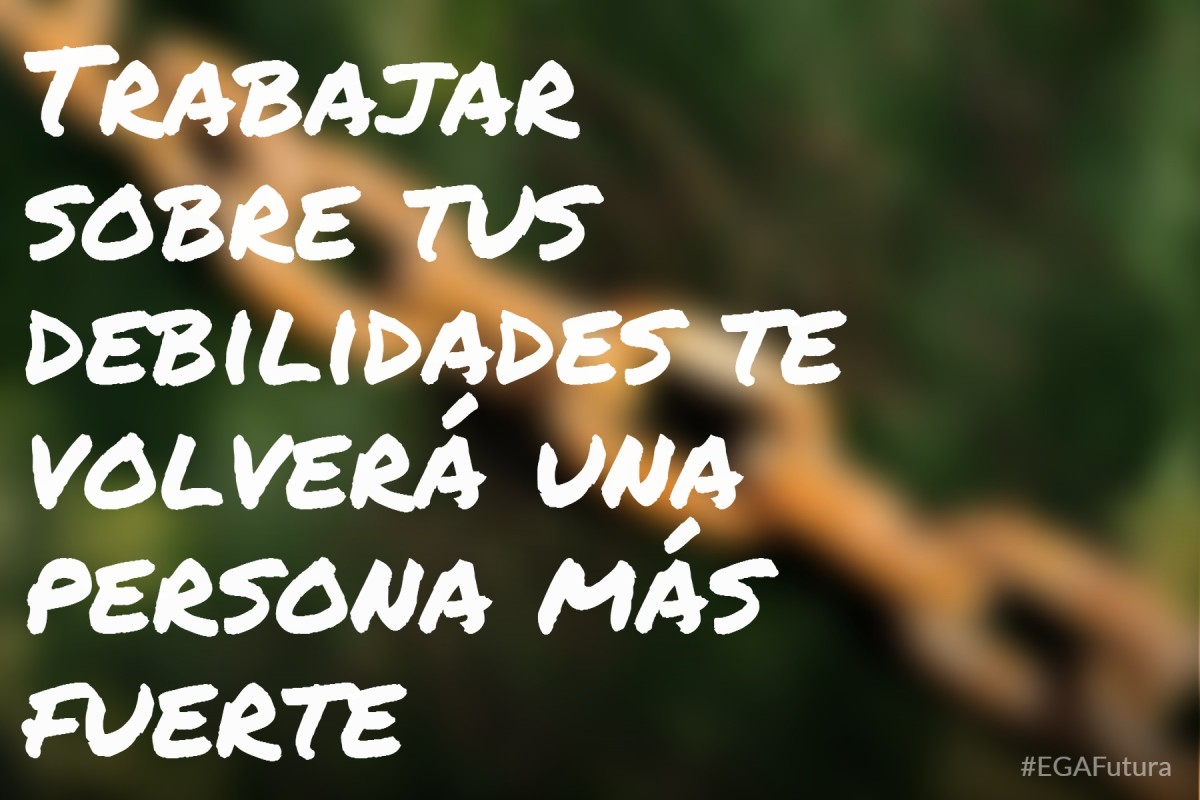 🏆 Busca en tus debilidades como potenciar tu Éxito Empresarial « EGA Futura