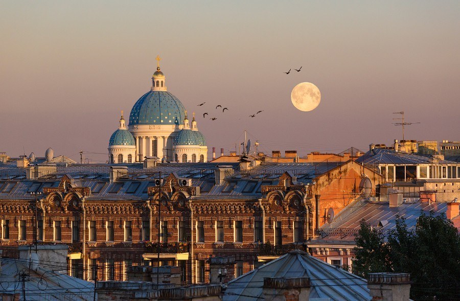 🏆 Secretos Ninja para hacer networking « EGA Futura