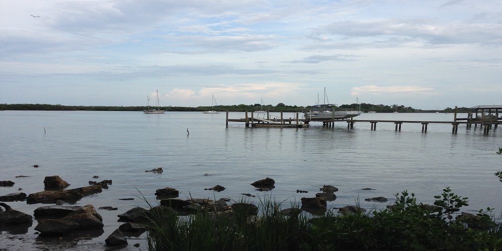 Algae Blooms and the Indian River Lagoon