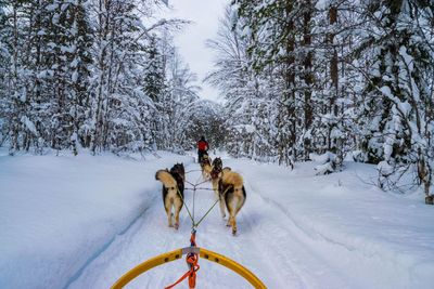 15 Awesome Things To Do In Rovaniemi (Finland)