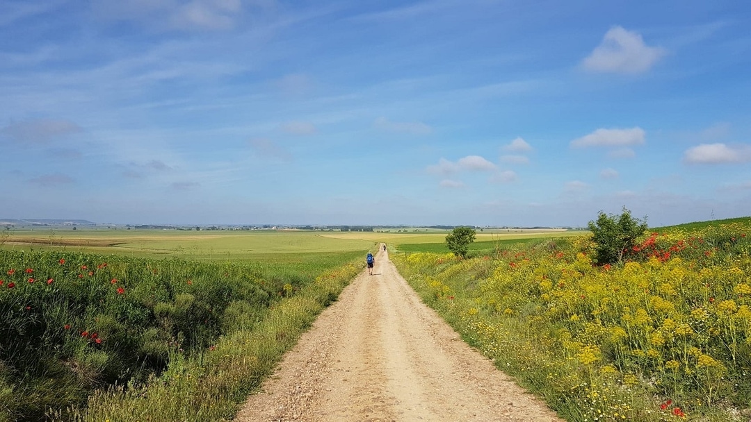 My Epic Journey Of Walking The Camino: 30 Days and 30 Blisters