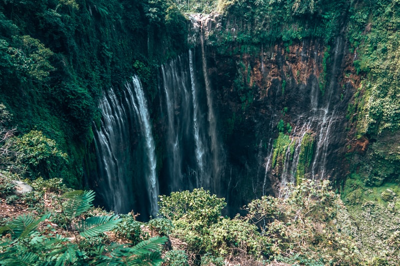 17 Best Things To Do In Malang, Indonesia {2023 Travel Guide}