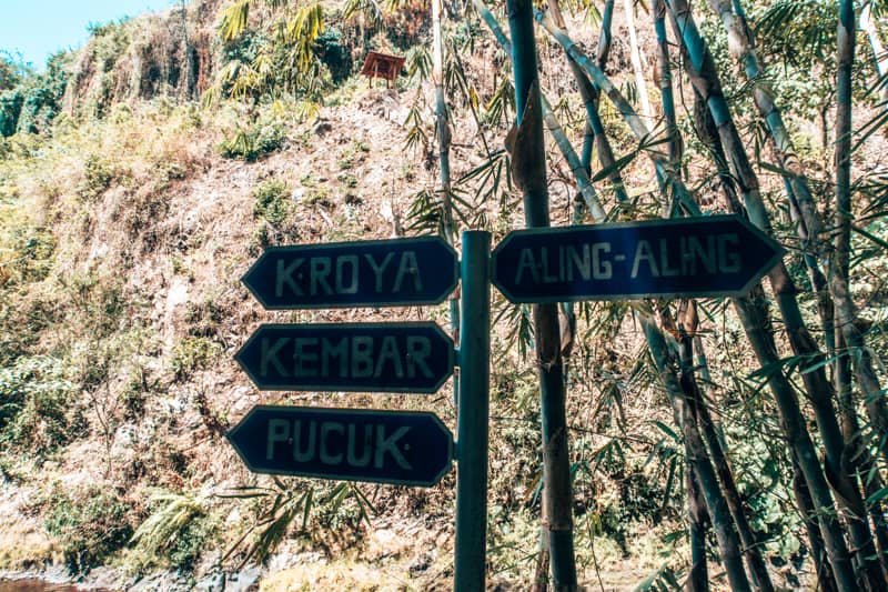 The Ultimate Guide To Visiting Aling Aling Waterfall, Bali