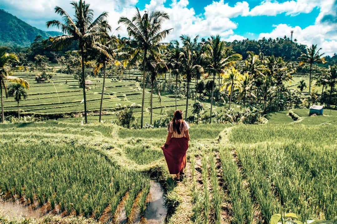 Our Awesome Travel Stories From Indonesia