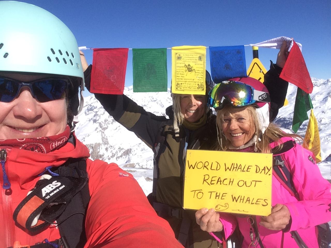 World Whale Day | News | Tess Burrows